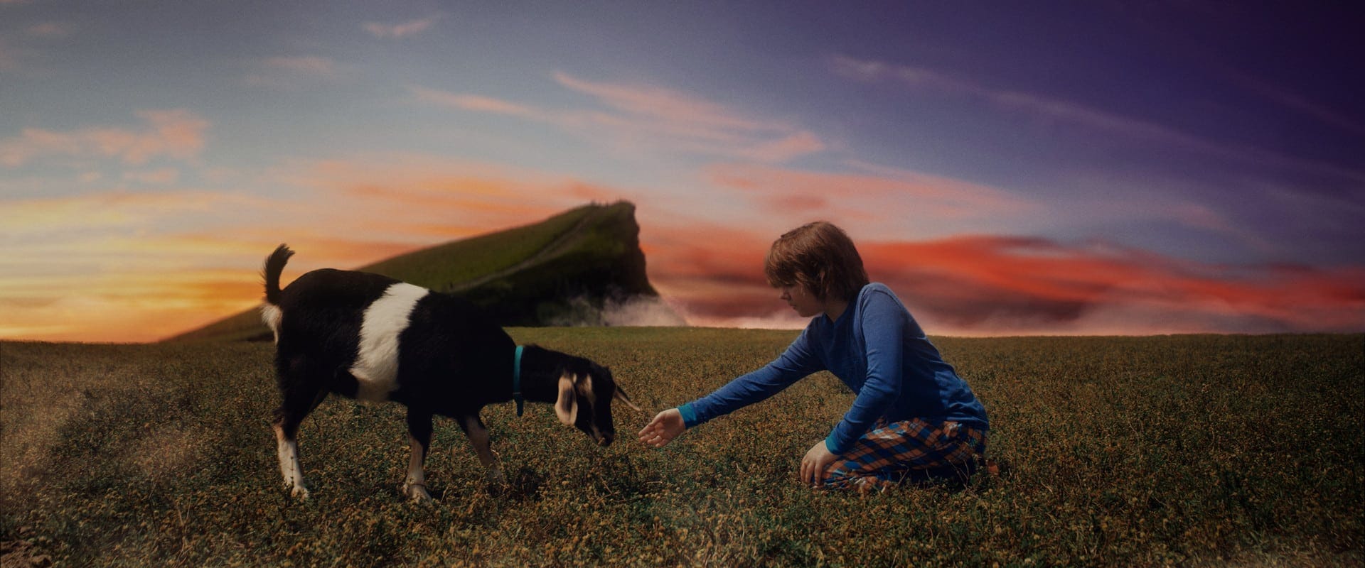 Nash – Kortfilmfestivalen