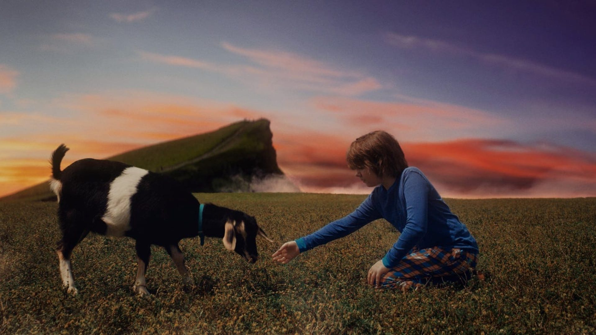 Nash – Kortfilmfestivalen